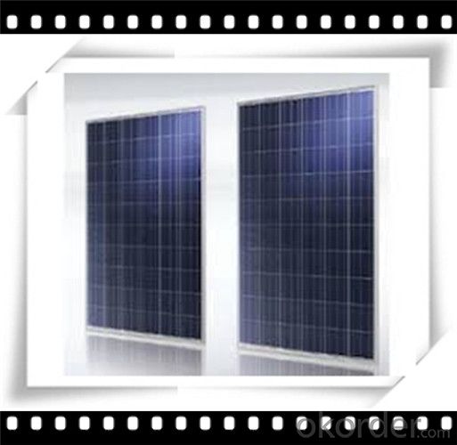 250W Poly solar Panel Medium Solar Panel Newest Solar Panel CNBM real ...