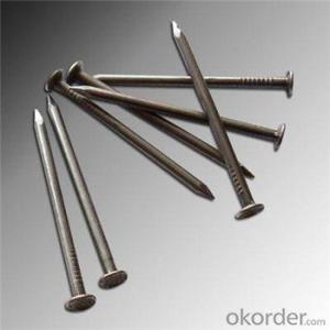 Common Nail Iron Nail Factory Directly Price Hot Seller - Buy Nails ...