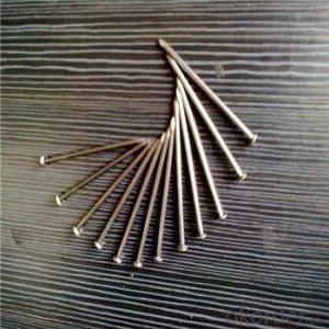 Common Nail Iron Nail Factory Directly Price Hot Seller - Buy Nails ...